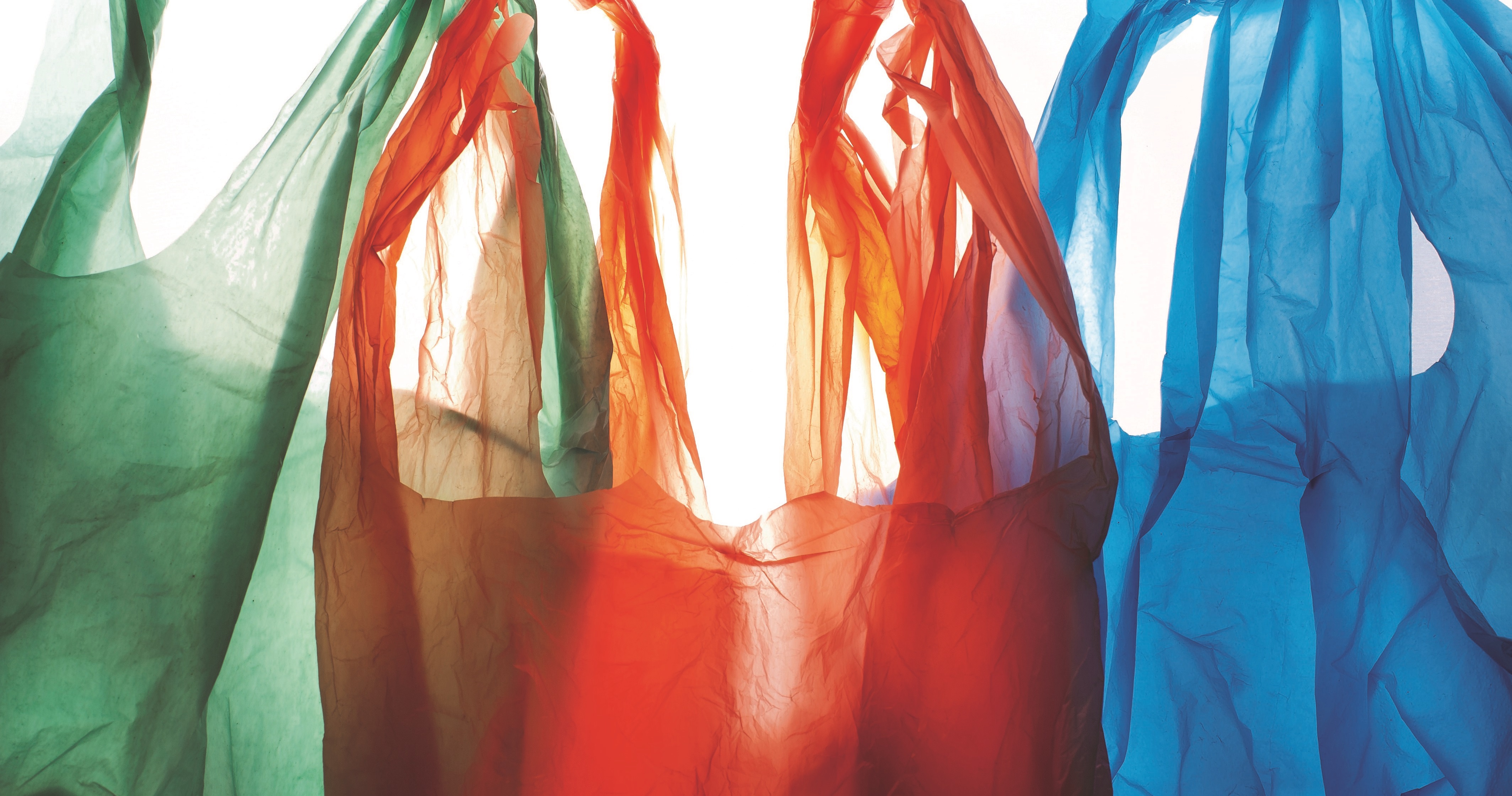 Red Rooster and Oporto to Get Rid of Single-Use Plastic Bags | National ...